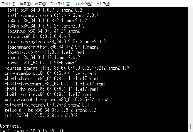 Aws Ec2 Amazon Linux 2でphpバージョン81の環境を構築する Idealive Tech Blog